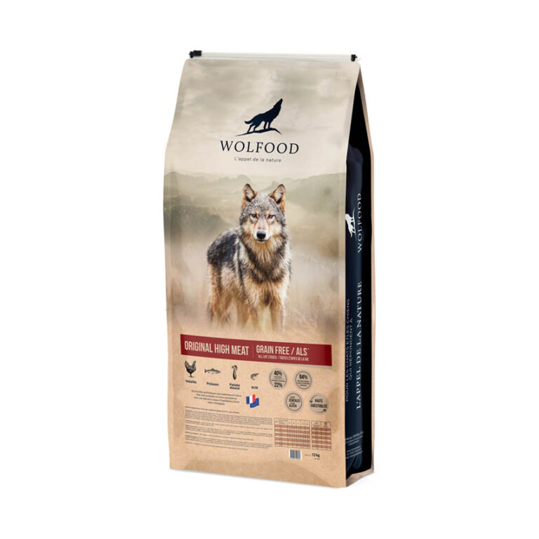 Berger Allemand croisé Husky : fiche détaillée - Éduquer mon chien